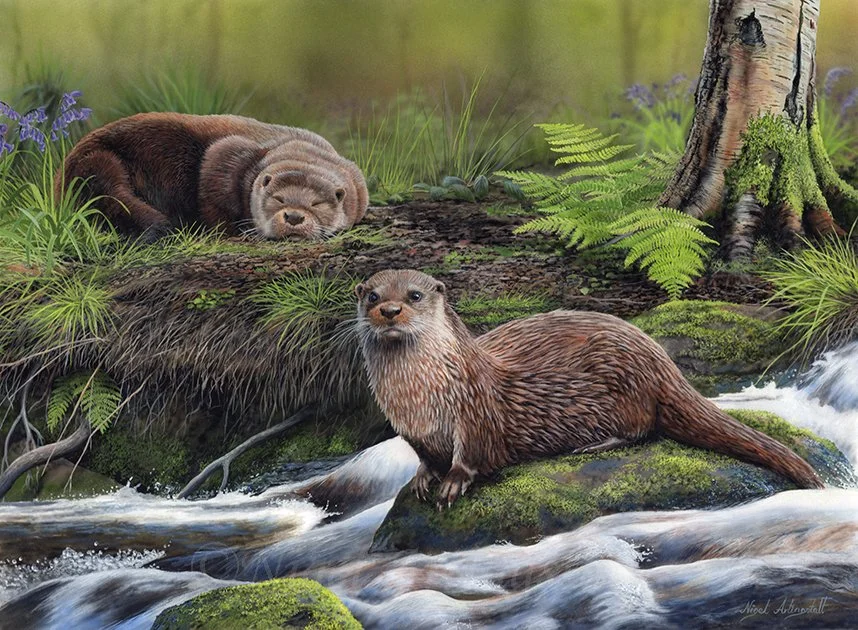 Original Paintings — Nigel Artingstall