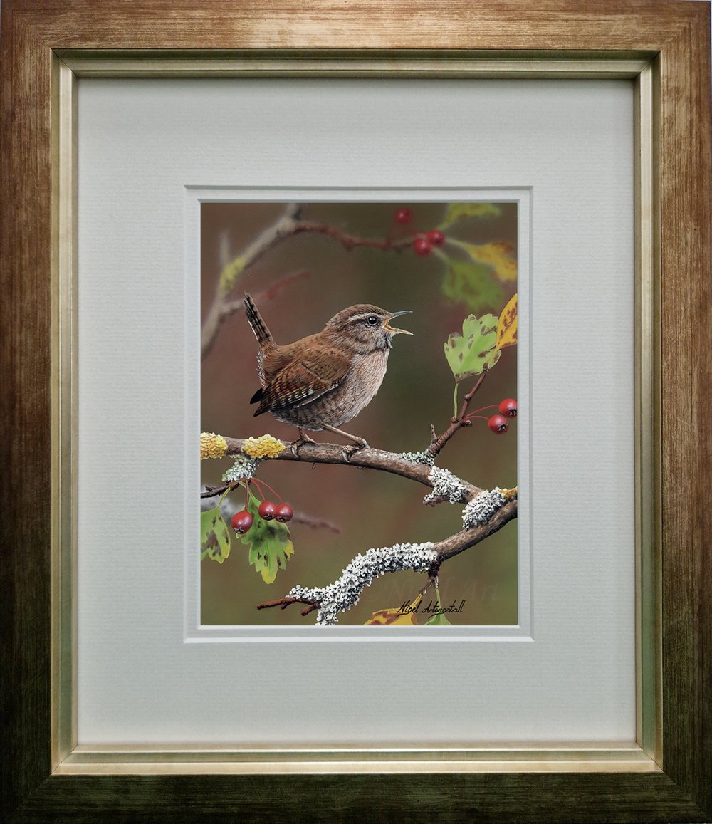 Original Paintings — Nigel Artingstall