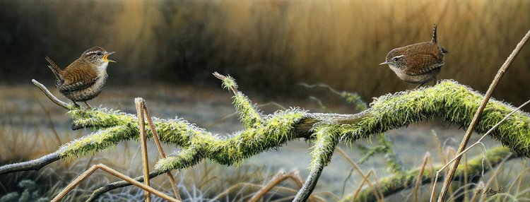 Original Paintings — Nigel Artingstall
