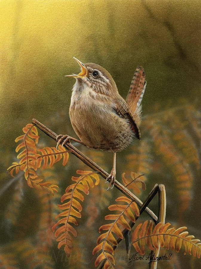 Original Paintings — Nigel Artingstall