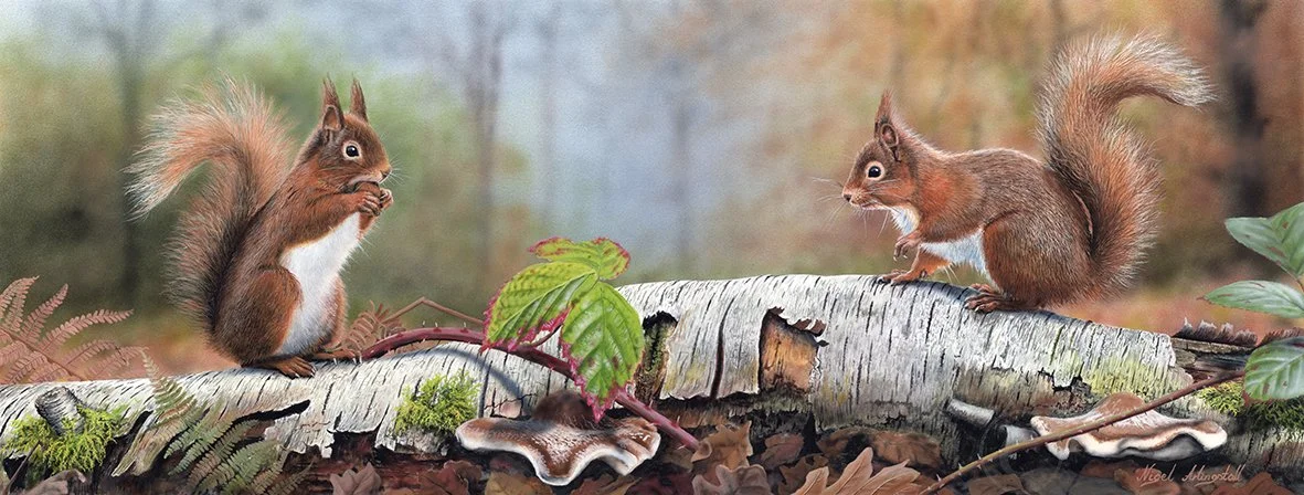Original Paintings — Nigel Artingstall