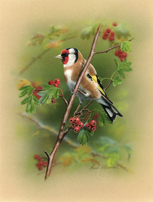 Original Paintings — Nigel Artingstall