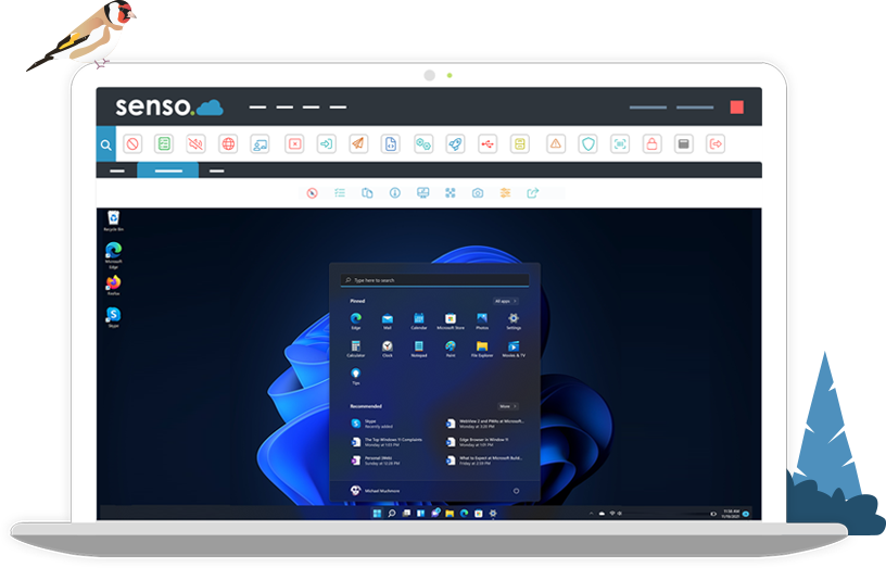 Senso Network Management Software — Maitek Solutions