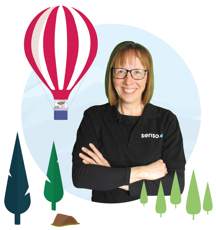 Senso Device Monitoring and Management — Maitek Solutions