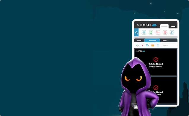 Senso Bundles and Pricing — Maitek Solutions