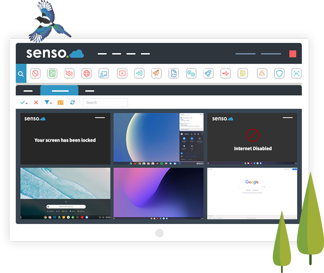 Senso Classroom Management Software — Maitek Solutions