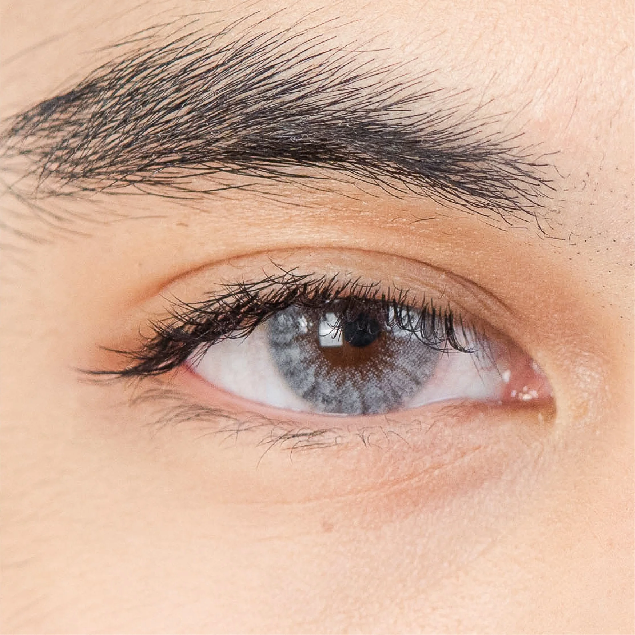 Eyelash Designs — NEW Lounge PH