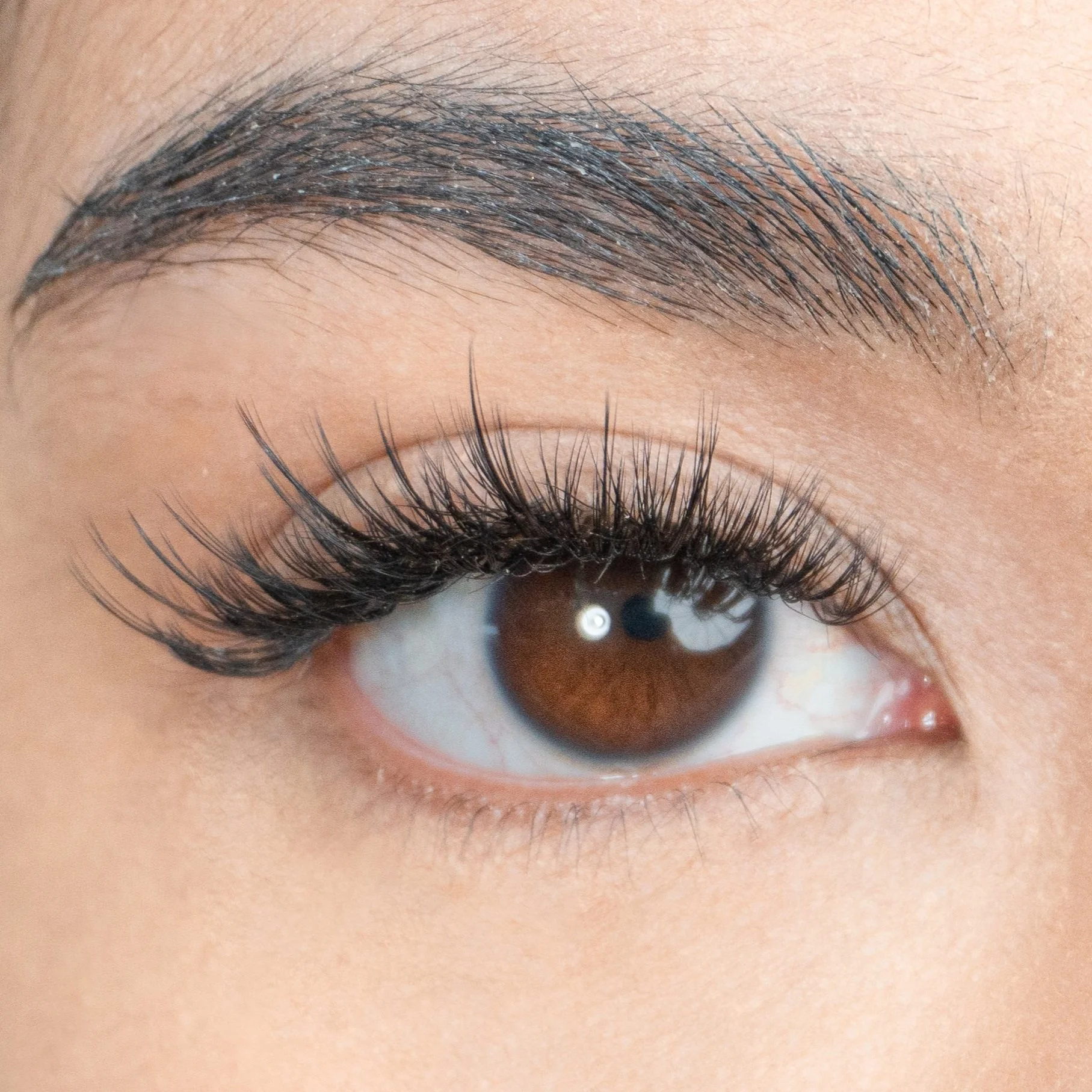 Eyelash Designs — NEW Lounge PH