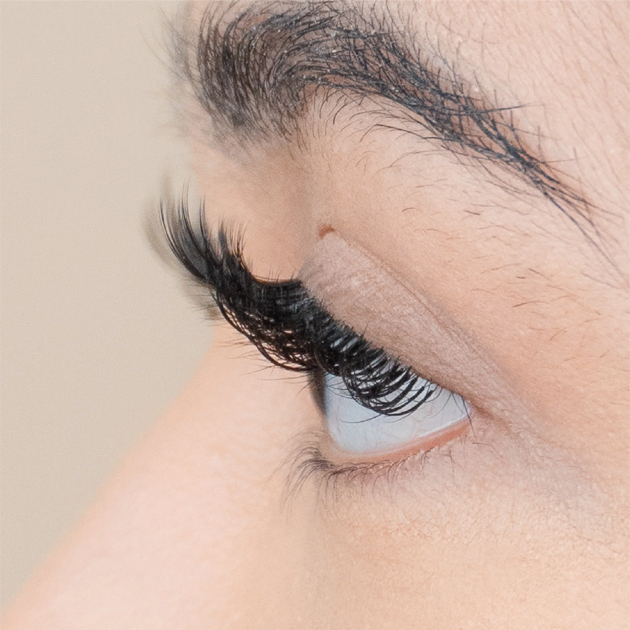 PH Exclusive Volume Lashes — NEW Lounge PH