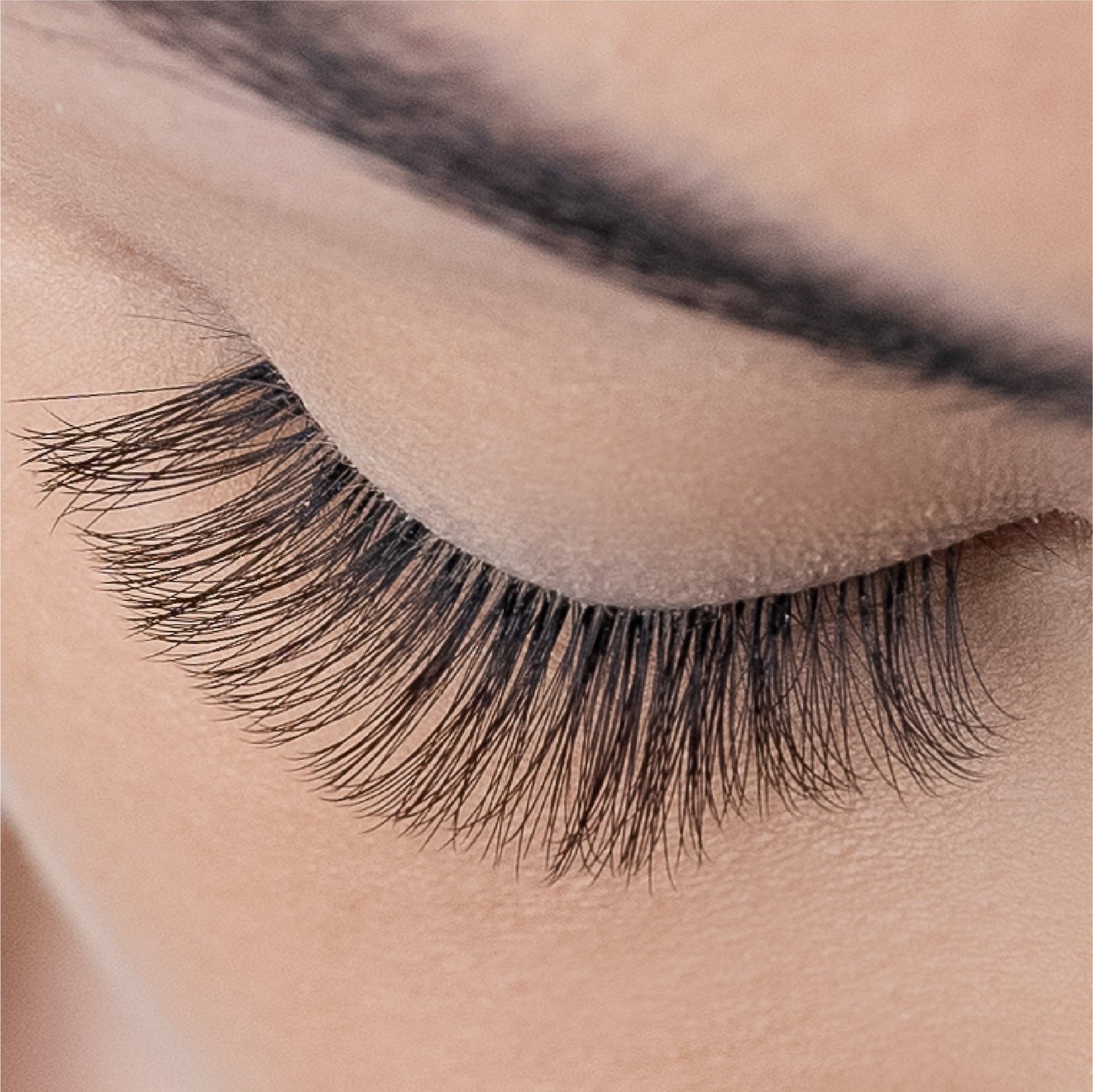 Everyday Lashes — NEW Lounge PH