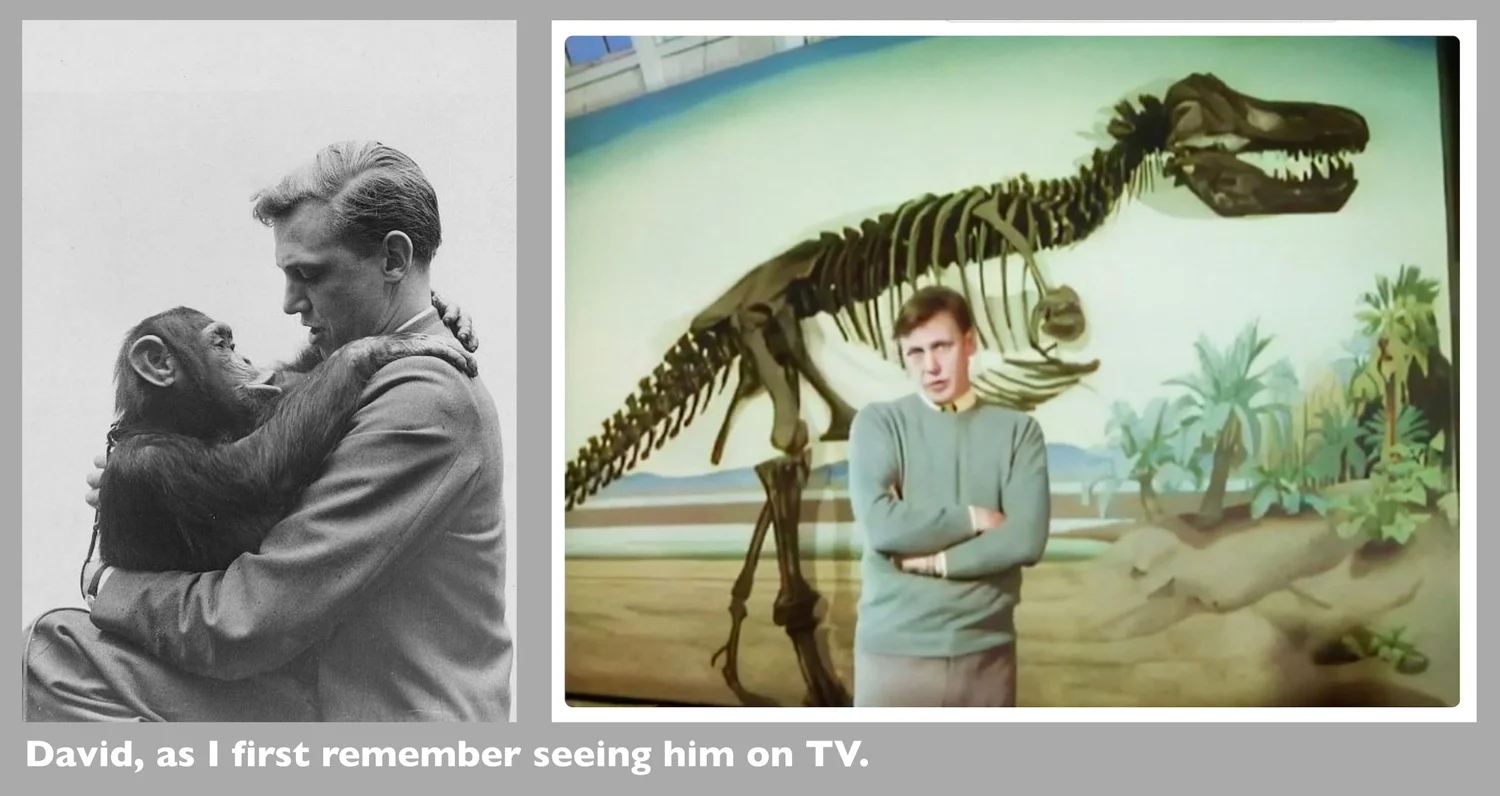 Attenborough 100 — Darrell Wakelam