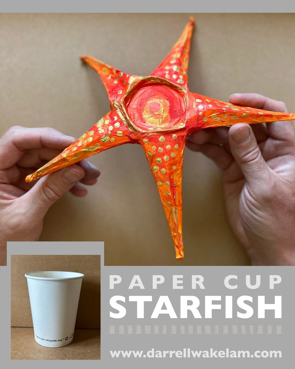 Paper Cup Starfish — Darrell Wakelam