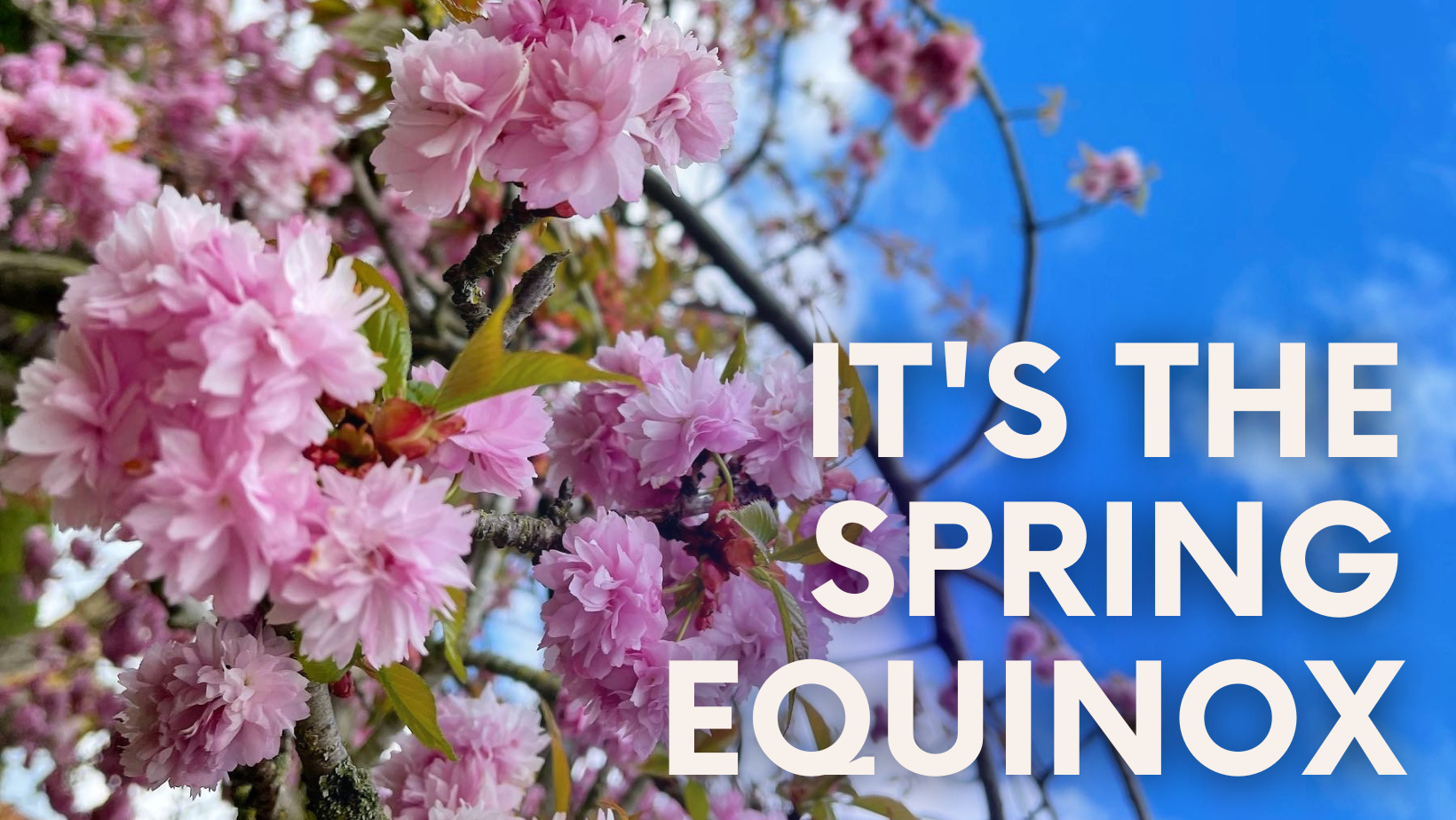 SPRING CLEAN YOUR STRESS! — Maggie Supernova