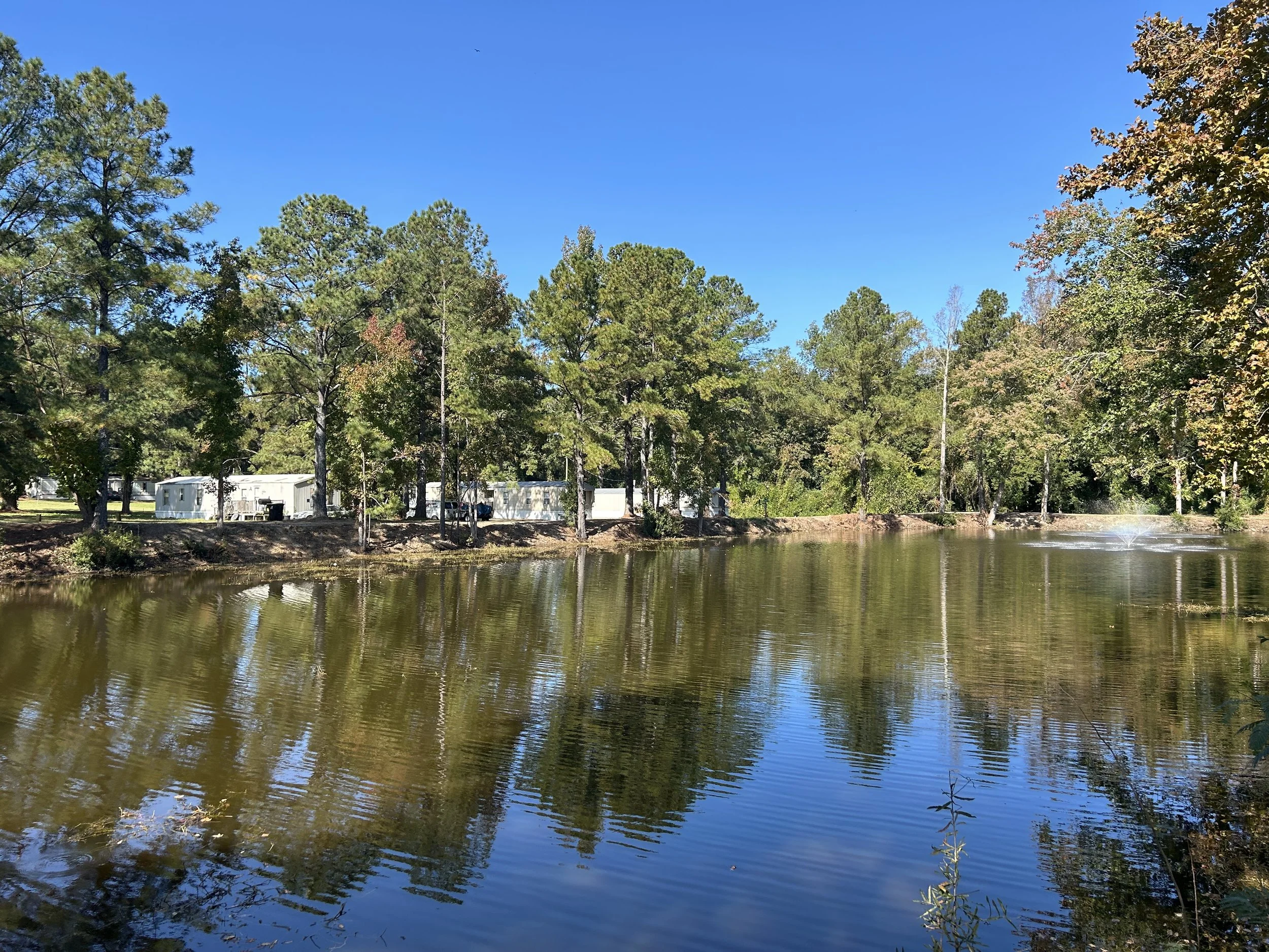 Long Term RV Park & Campground — Treeside RV Park
