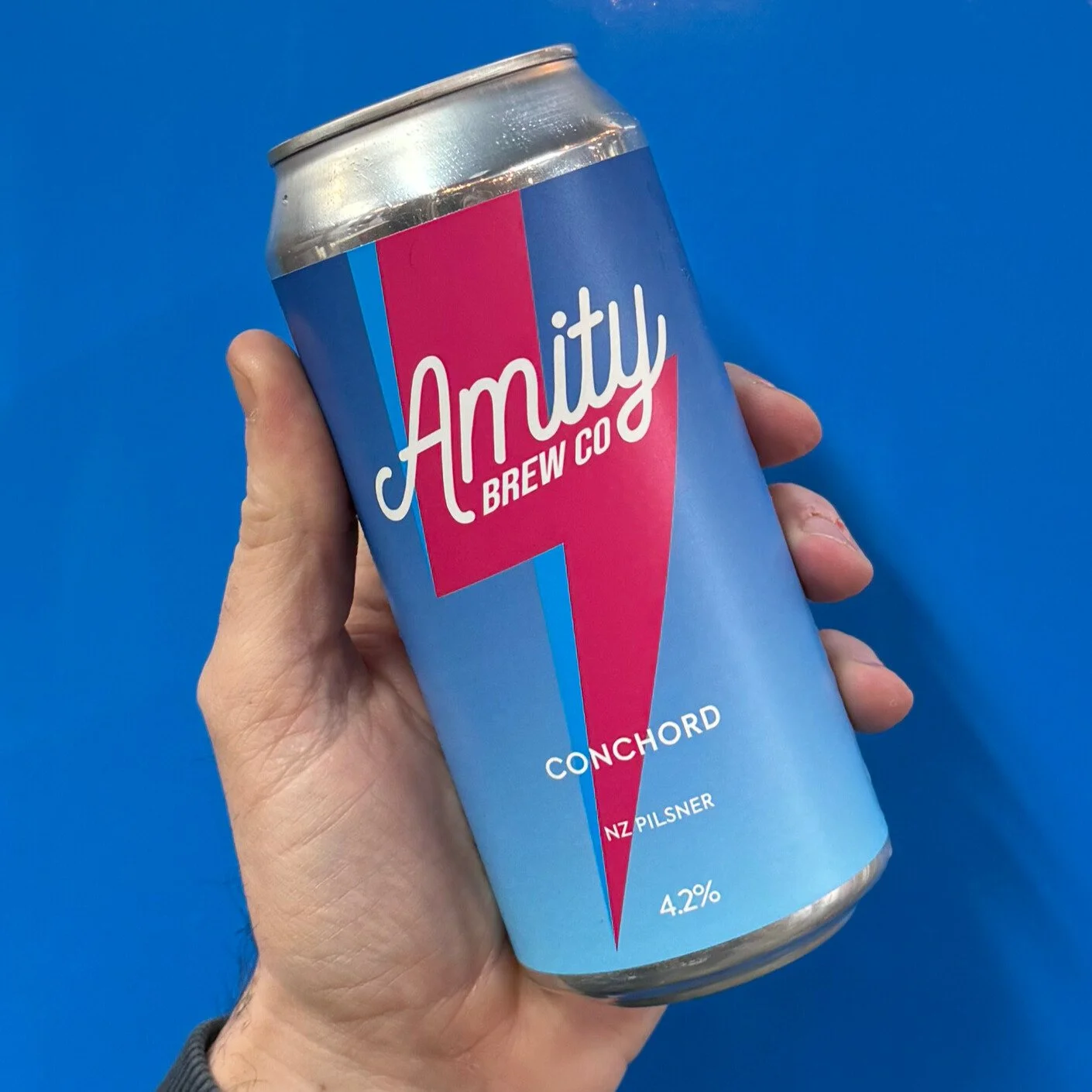 Festoon // Gluten Free Helles Lager // 4.6% ABV - 440ml — Amity Brew Co