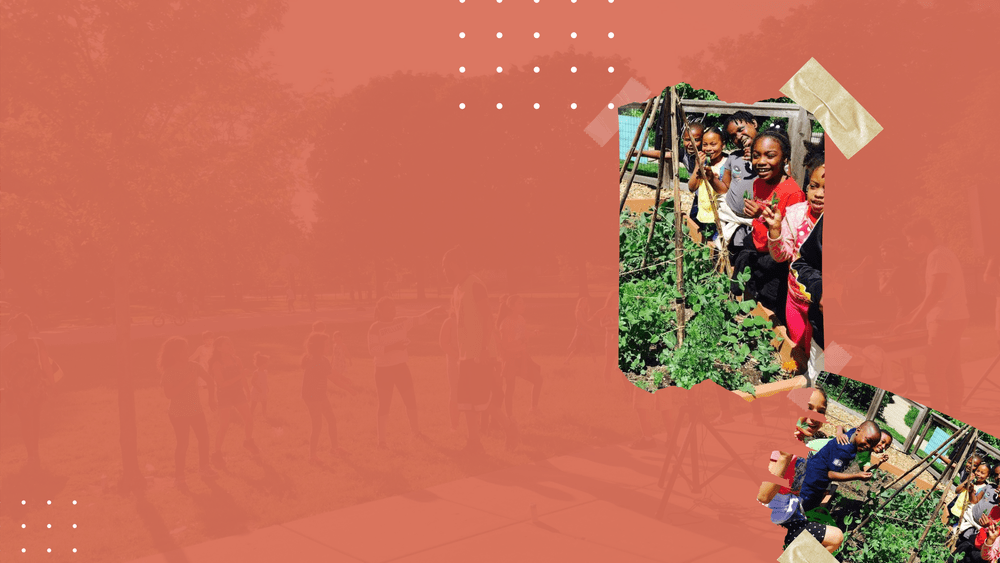 About PTA Equity Project “PEP” — PTA Equity Project