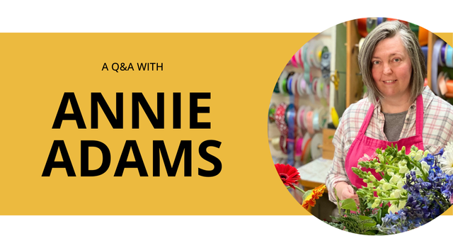 Q&A WITH ANNIE ADAMS — JOFFE BOOKS, One of the UK's leading independent ...