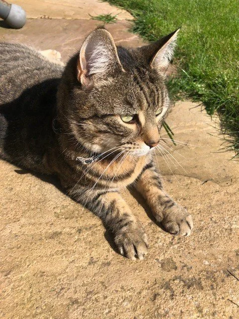 THE STORY BEHIND: 'SEVEN DAYS TO DIE' A GRIPPING CRIME BY MICHELLE KIDD ...