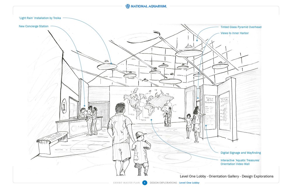 Blue Wonders - National Aquarium — Chad Tyler Design