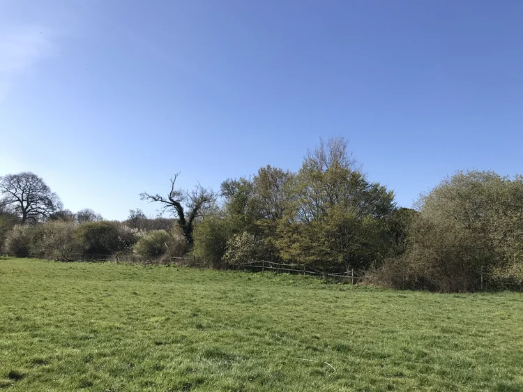 Maple Farm Rewilding — Charity Buddy