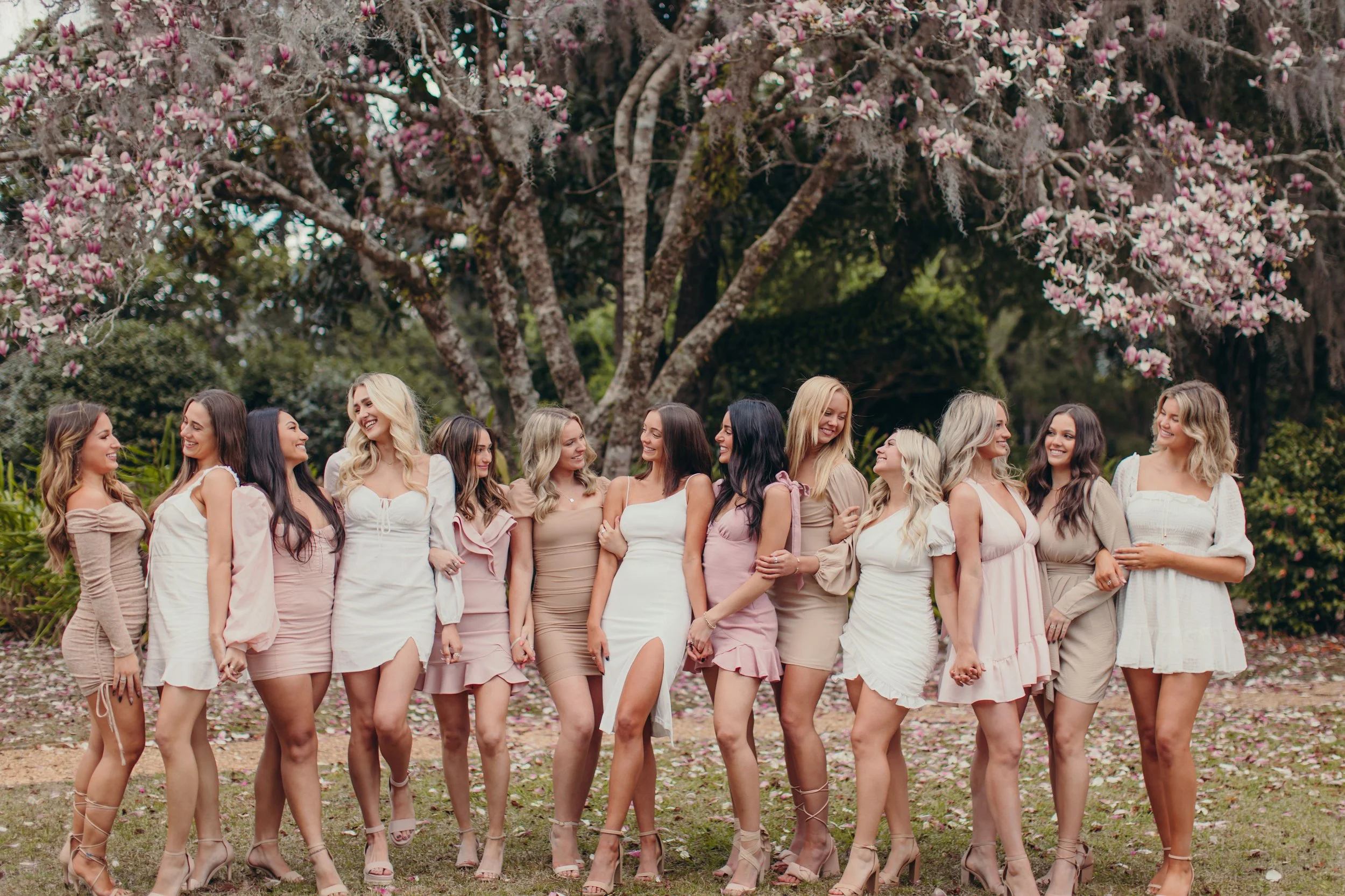 Chapter Profiles — FSU Panhellenic Association