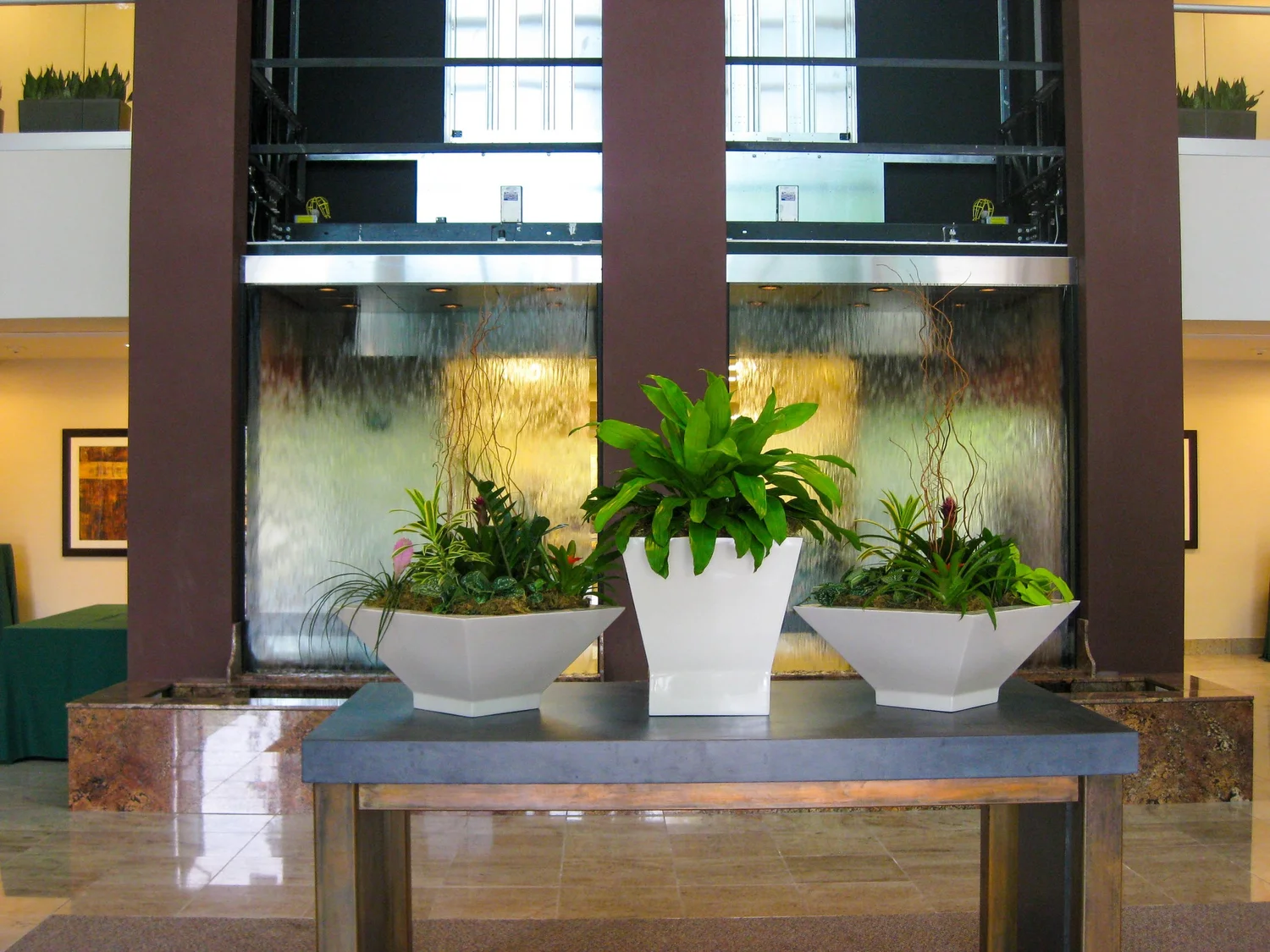 Pond Fountain Aquarium Contractor Repair Service New Jersey