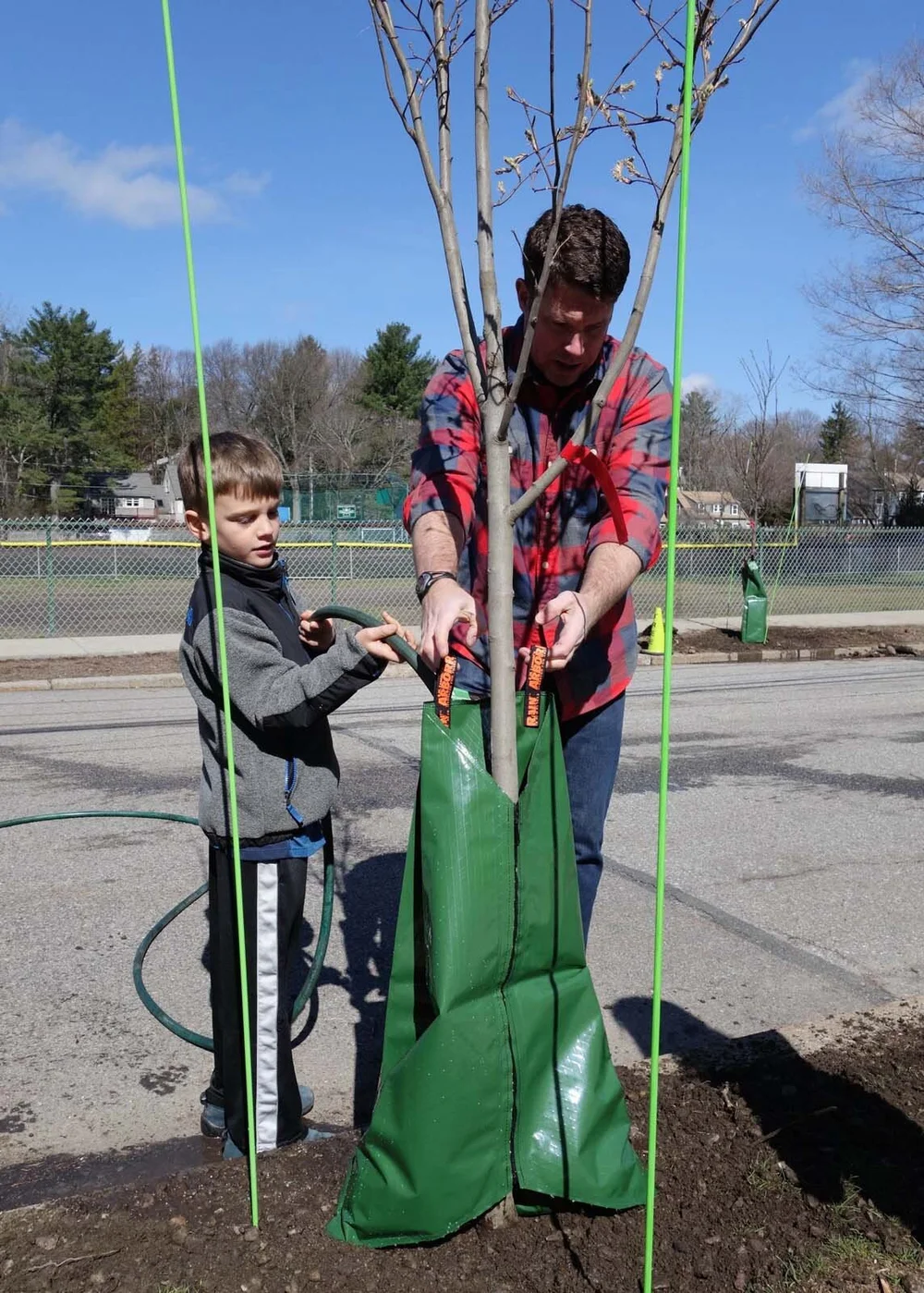 Plant a Tree — Newton Tree Conservancy