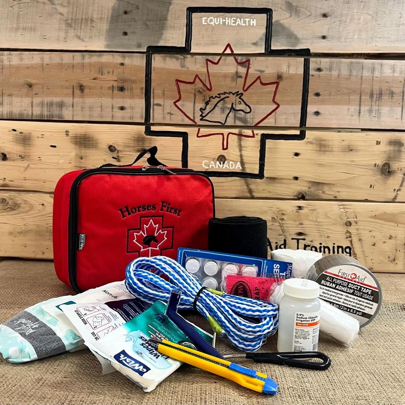 Trail Bag First Aid Kit — Horses First