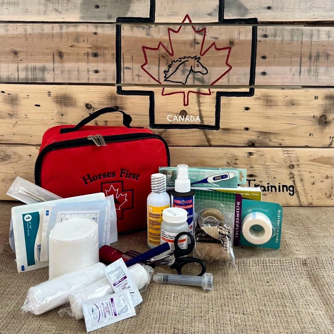 Large Feline First Aid Kit — Horses First