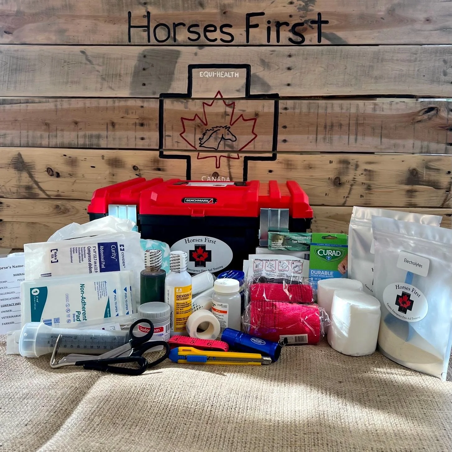 Large Equine First Aid Kit — Horses First