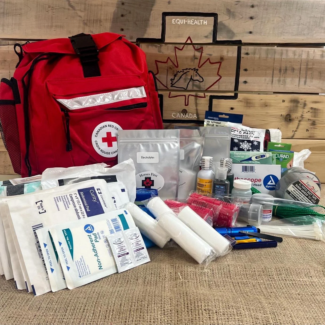Wilderness First Aid Kit — Horses First
