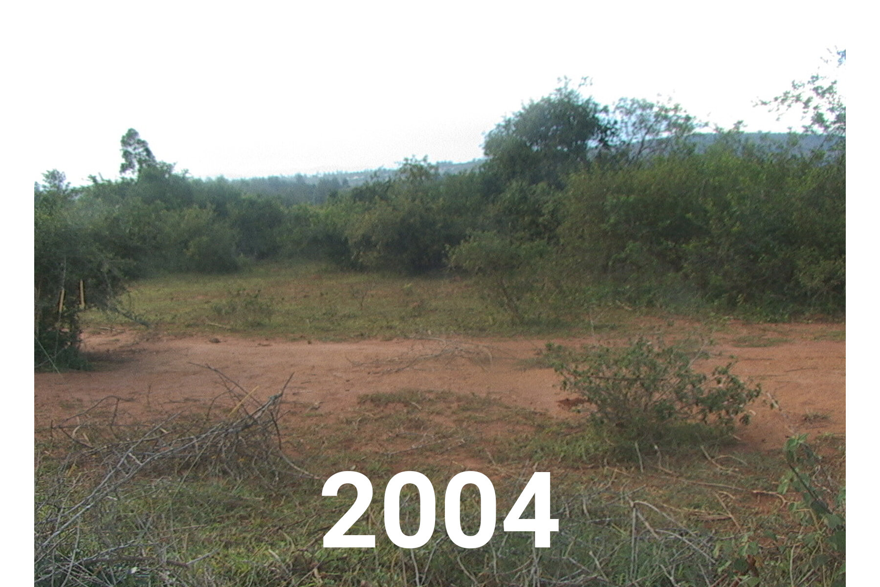 About 1 — Maranyundo Initiative