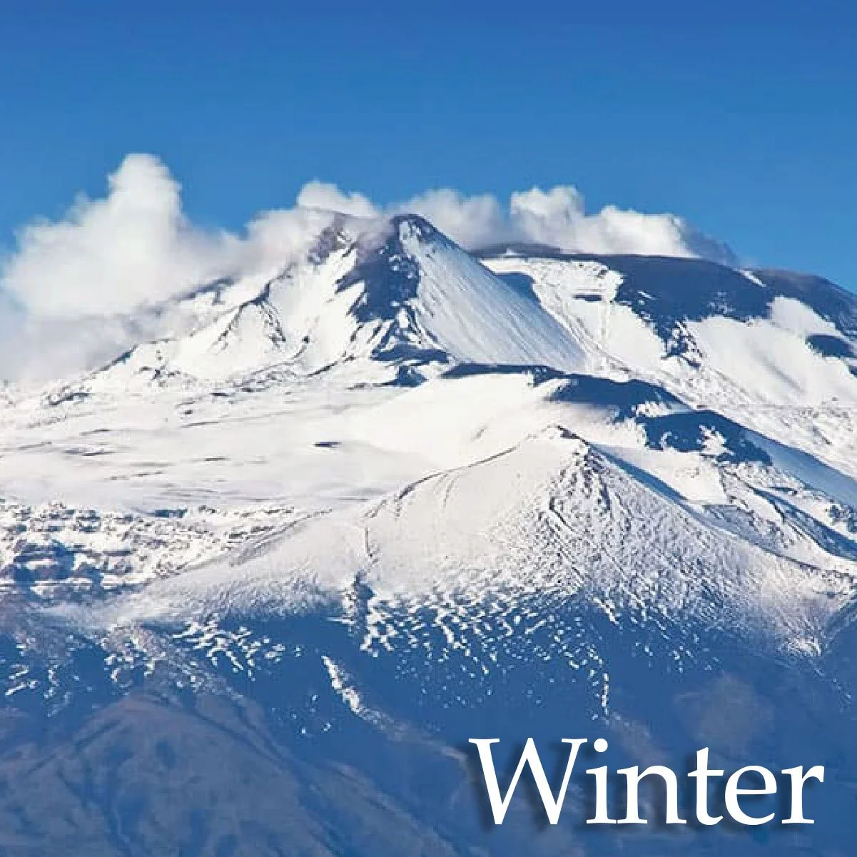 Seasonal & Holidays — L' Arte della Pasticceria