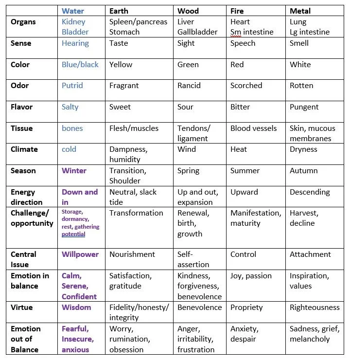 Winter and the deep dive into the Water Phase — Camden Acupuncture