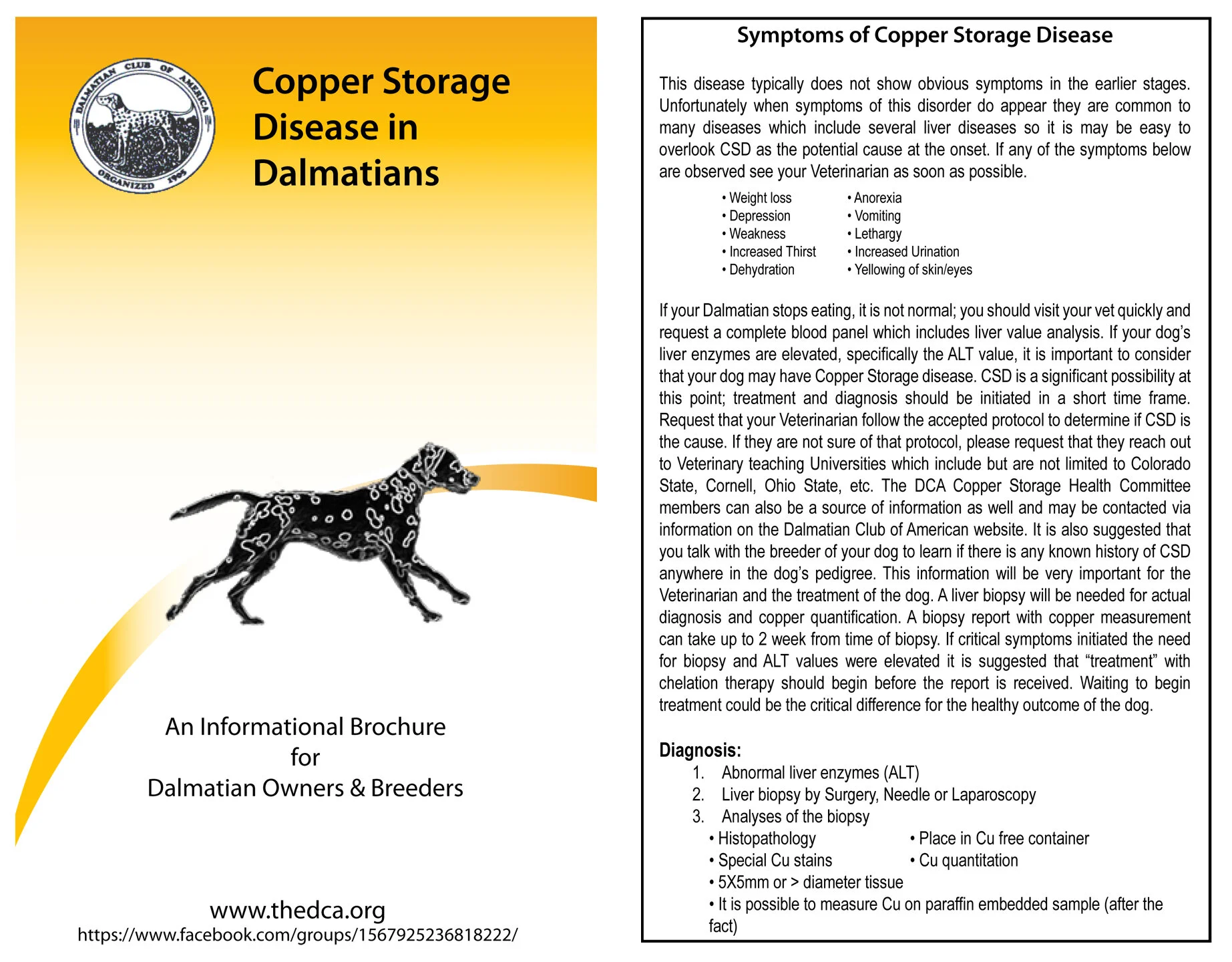 Copper Storage Disease — ArmySoldier Dalmatians