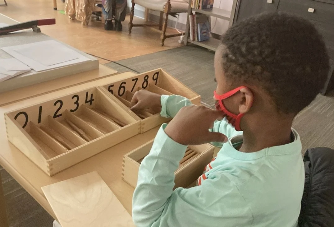 Professional Development — Public Montessori in Action