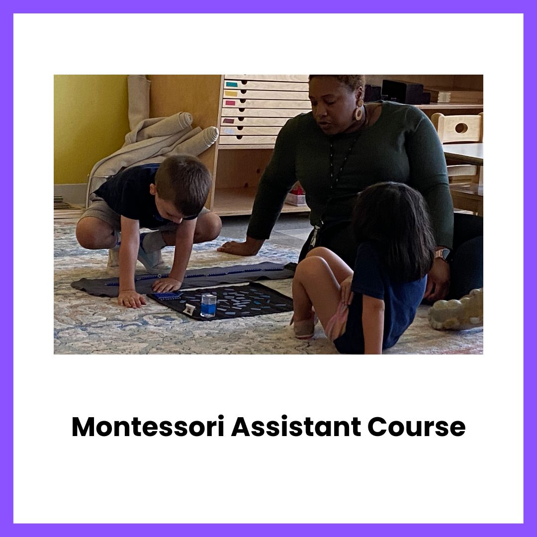 Montessori Assistant Course (Individual) — Public Montessori in Action ...