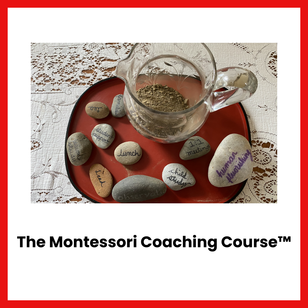 Professional Learning — Public Montessori in Action International