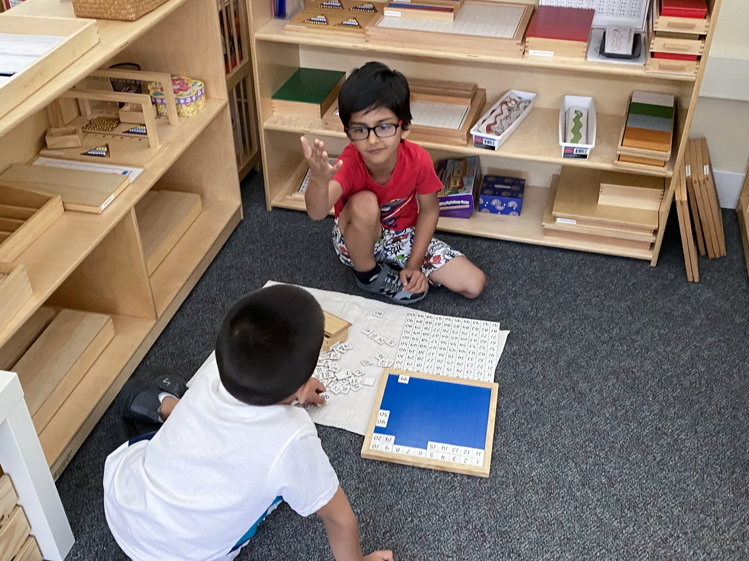Montessori Coaching — Public Montessori in Action International