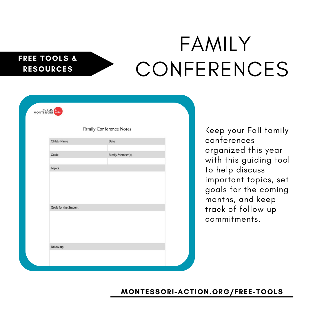 Public Montessori in Action International