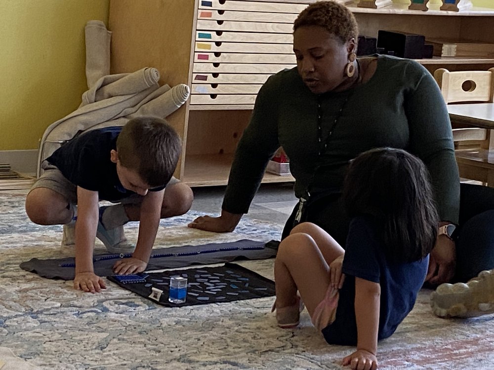 Montessori Coaching — Public Montessori in Action International