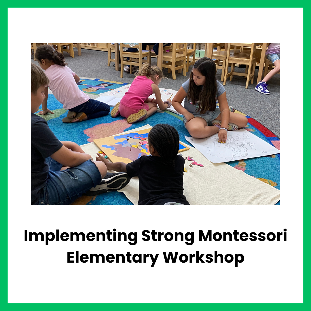 Professional Learning — Public Montessori in Action International