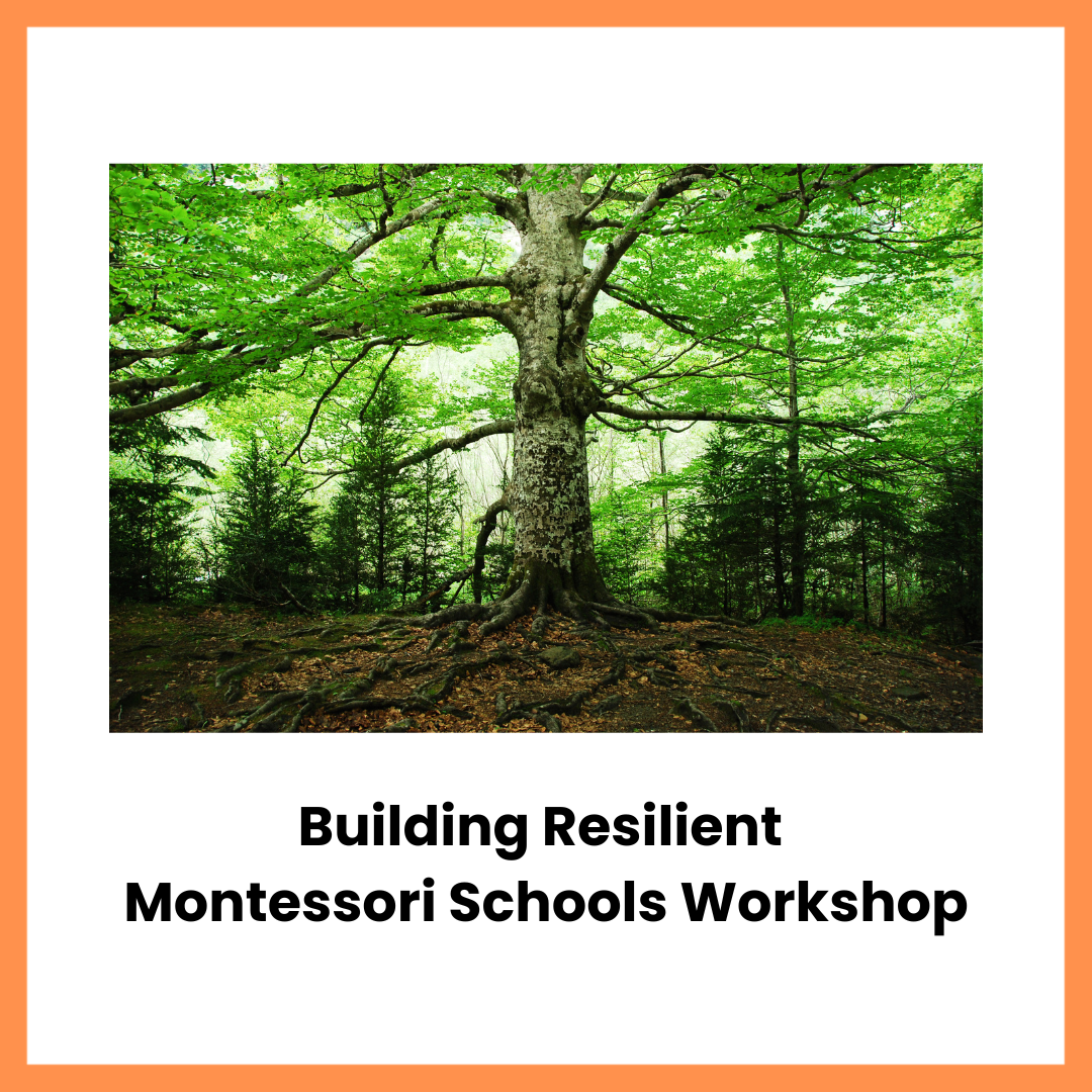 Professional Learning — Public Montessori in Action International