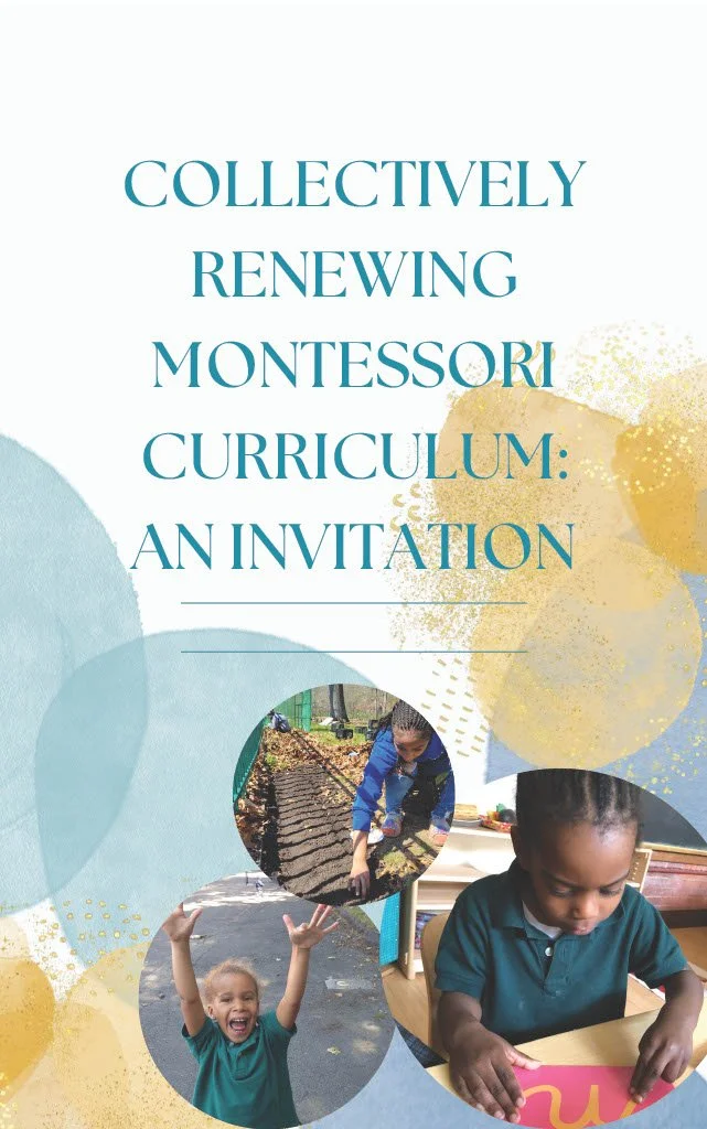 Renewing — Public Montessori in Action International