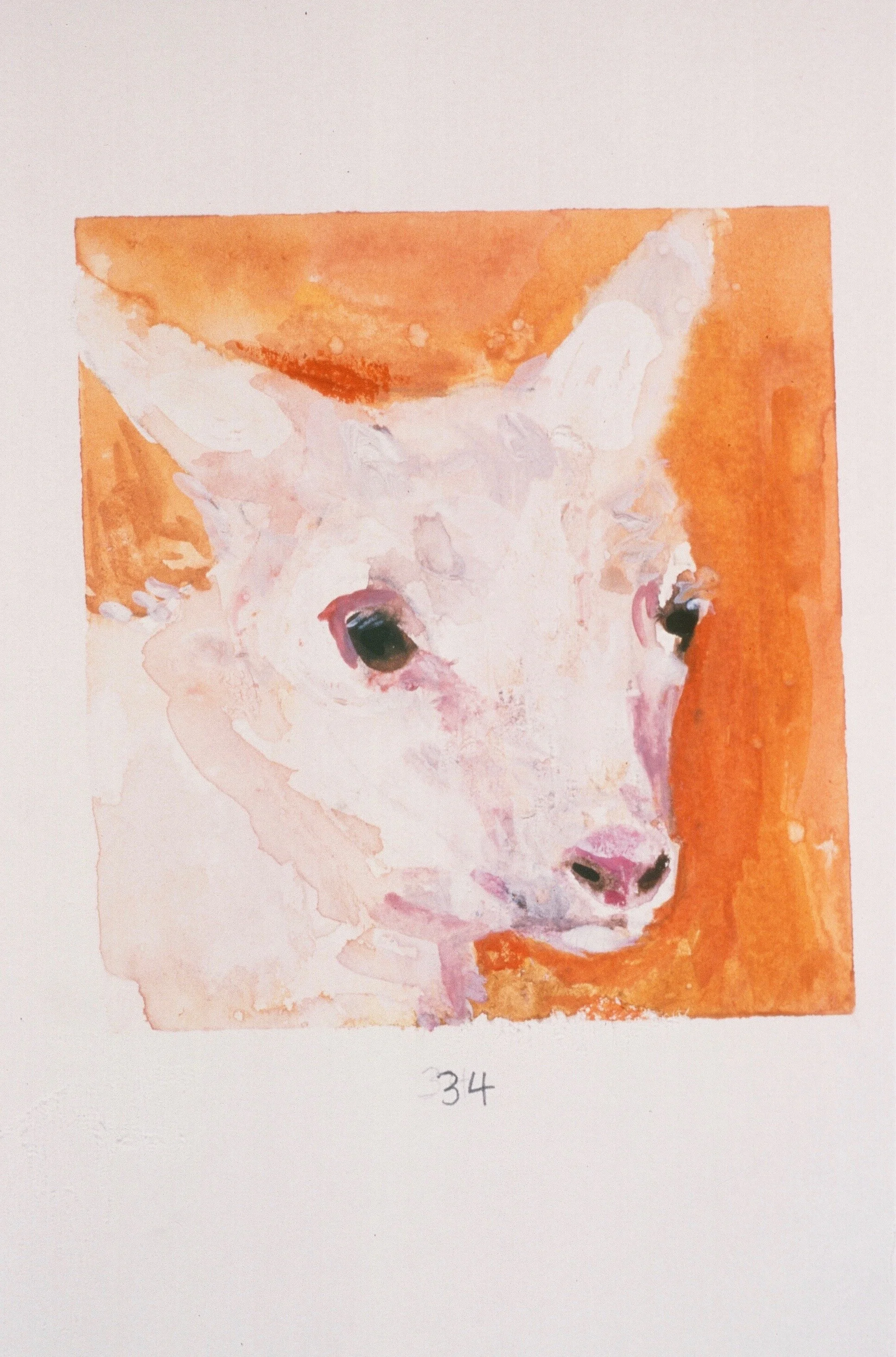 Sharon Shapiro - earlier work — sharon shapiro