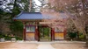 DHARMA GATES
