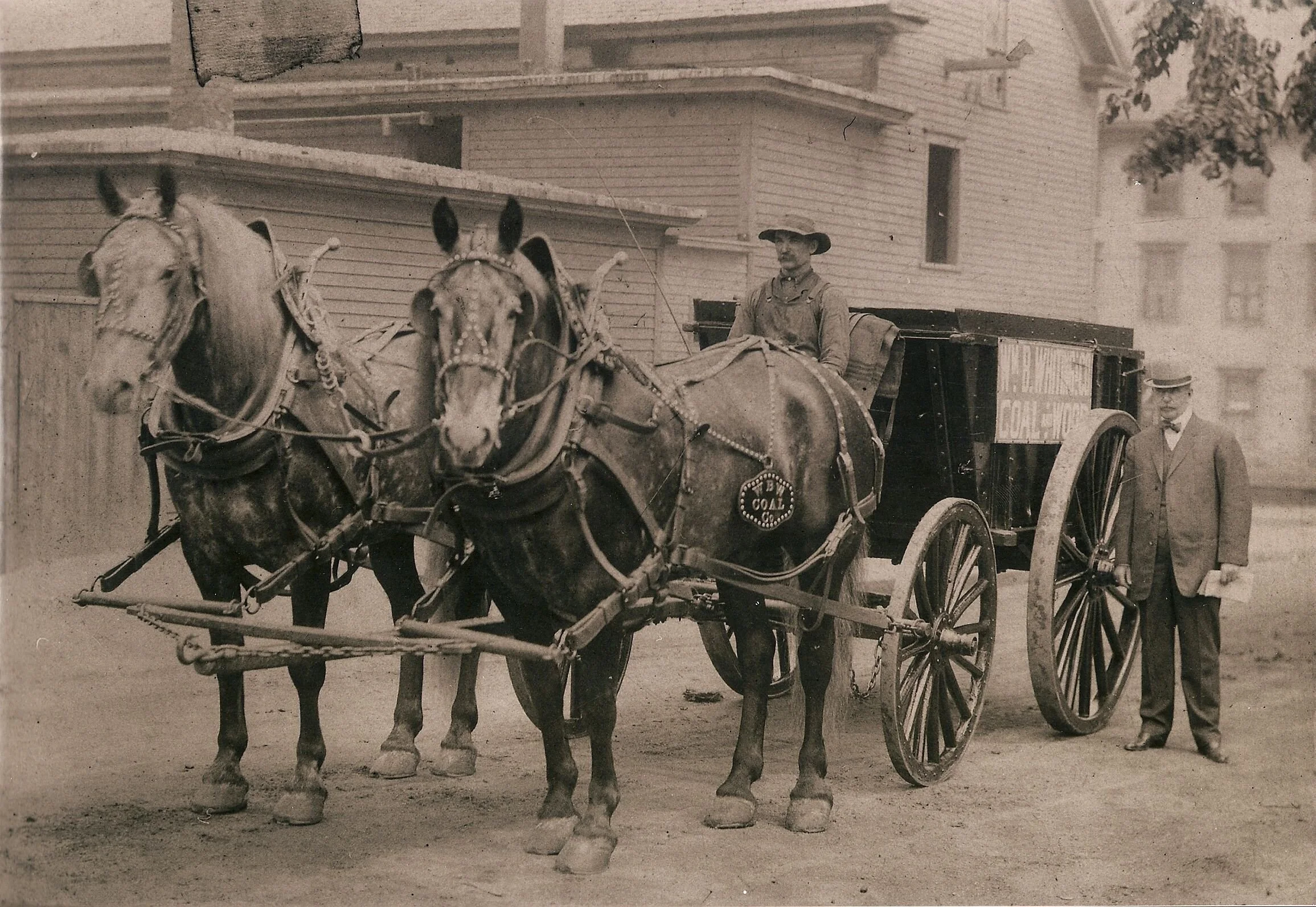 Doherty — Dave's Genes