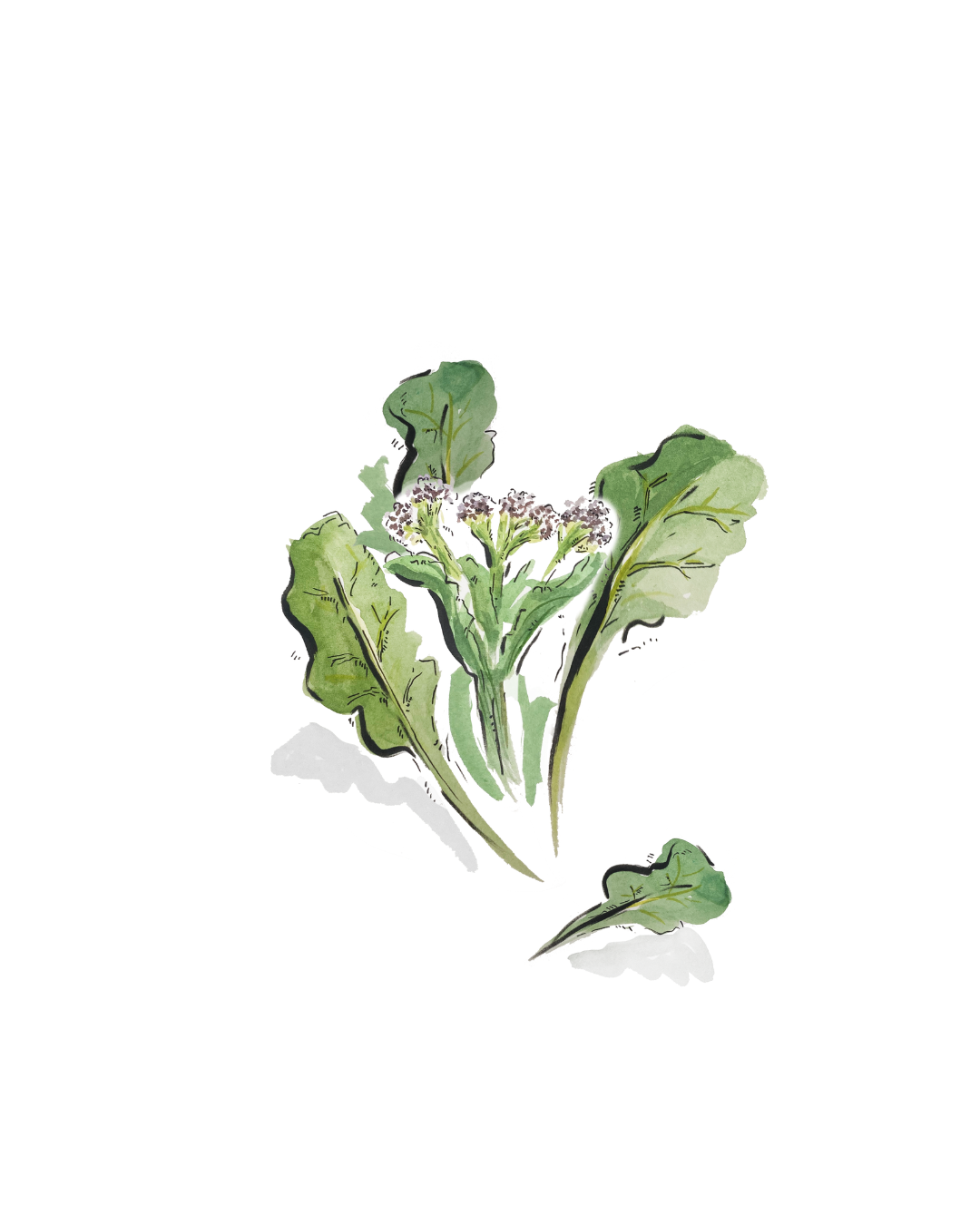 Introducing our Harvest Lunch Calendar | Cumulus Inc.