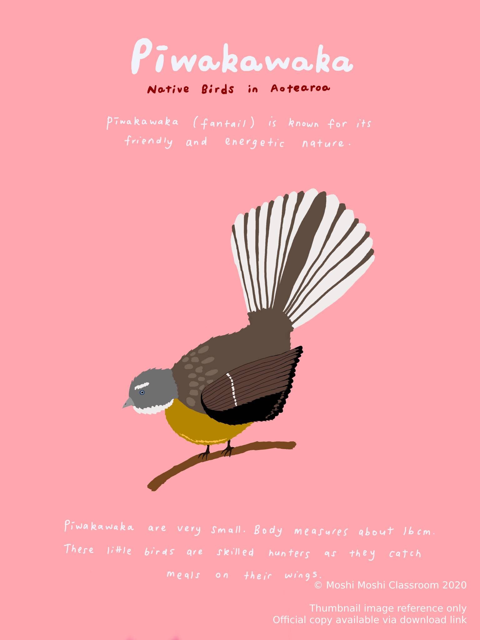 Pīwakawaka - Native Birds in Aotearoa — Moshi Moshi Classroom