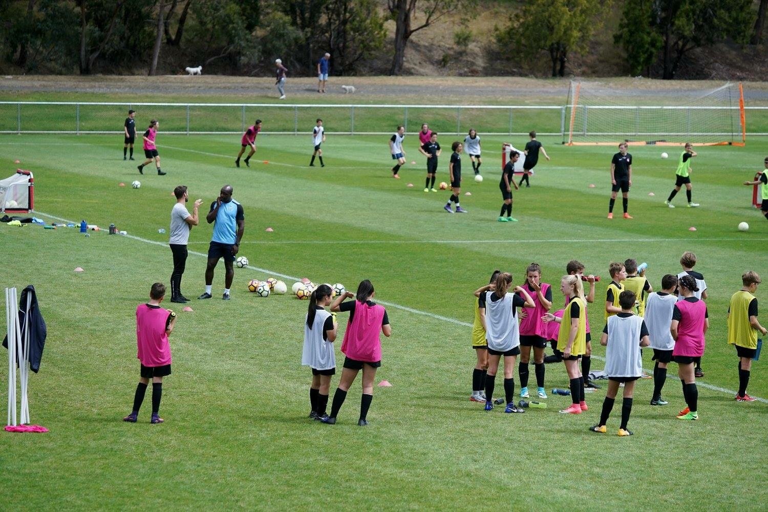 Holiday Clinics — Morton's Soccer School